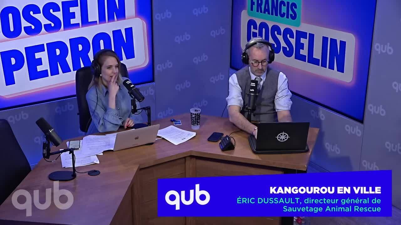 «Au ministère de la faune, ils peuvent faire ce qu'ils veulent ...