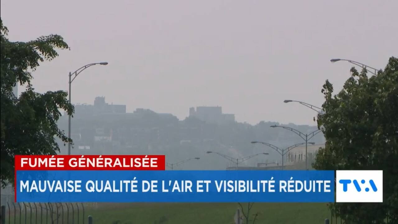 Le TVA Nouvelles 12h de Québec du 6 juin 2025 | Le TVA Nouvelles Québec ...