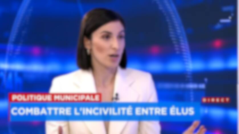 Incivilité et intimidation dans les conseils municipaux: «Les élus ont ... Incivilité et intimidation dans les conseils municipaux: «Les élus ont ...