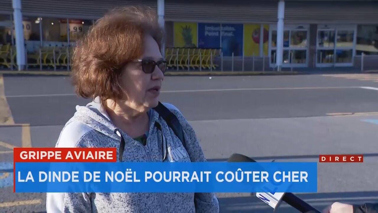 32 Pour Une Mini Dinde «cest Un Crime Explications à Midi Tva Nouvelles Qub Info