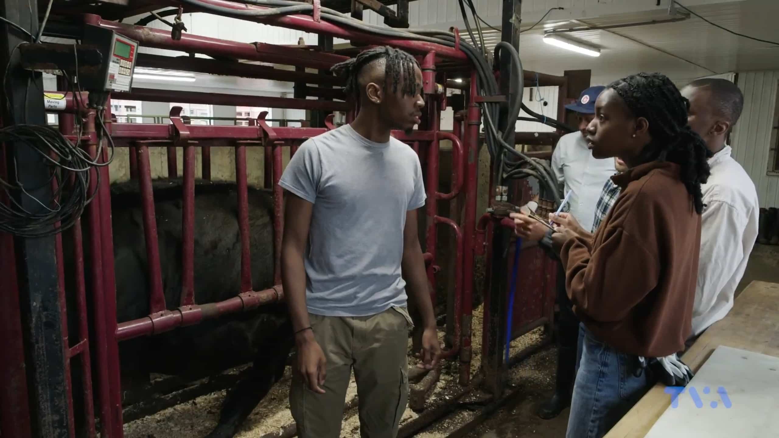 Ferme Bouffard | Arrive en campagne | TVA | TVA+