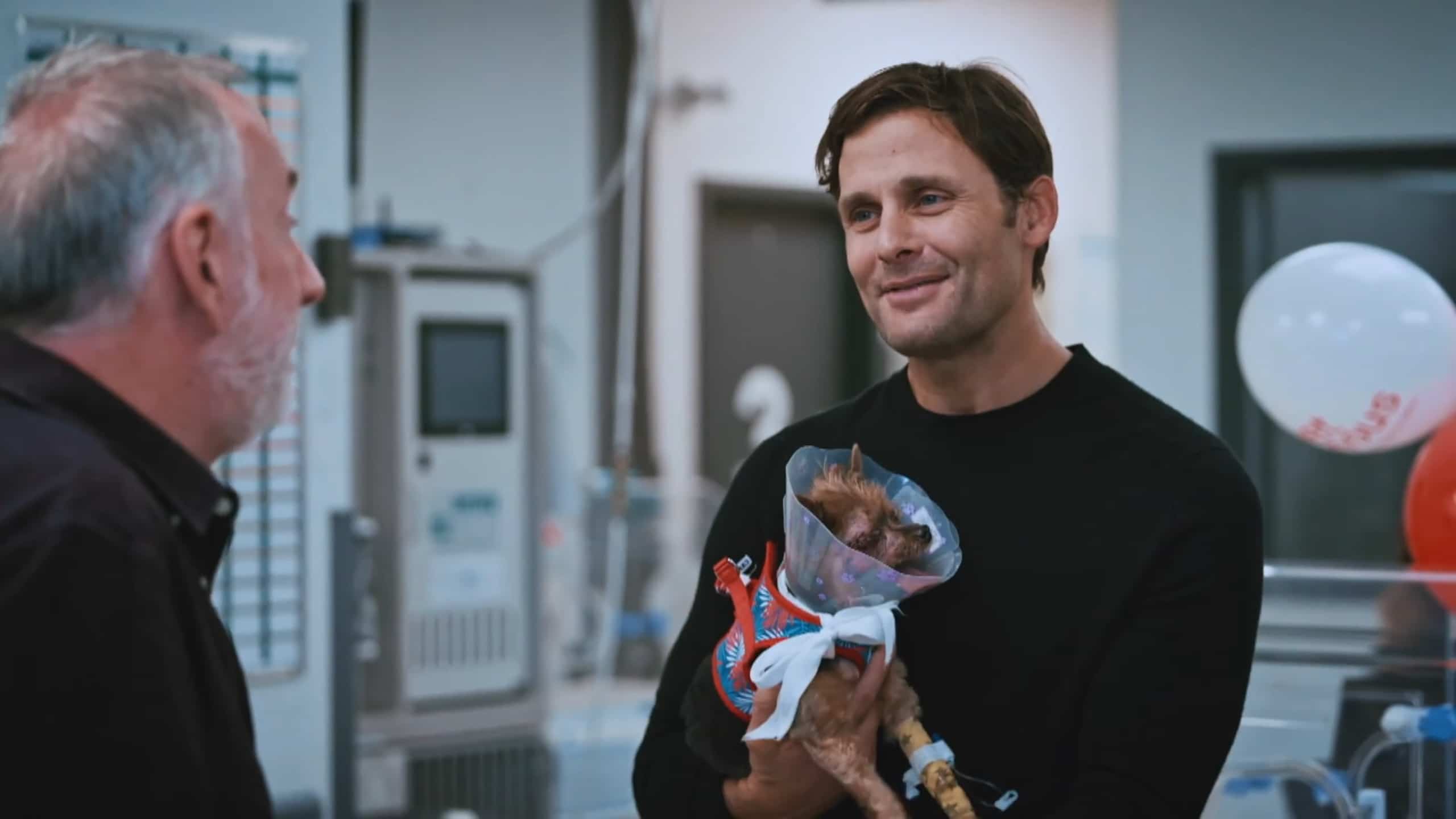 Les animaux | C'tu juste moi ? | TVA | TVA+ | TVA+